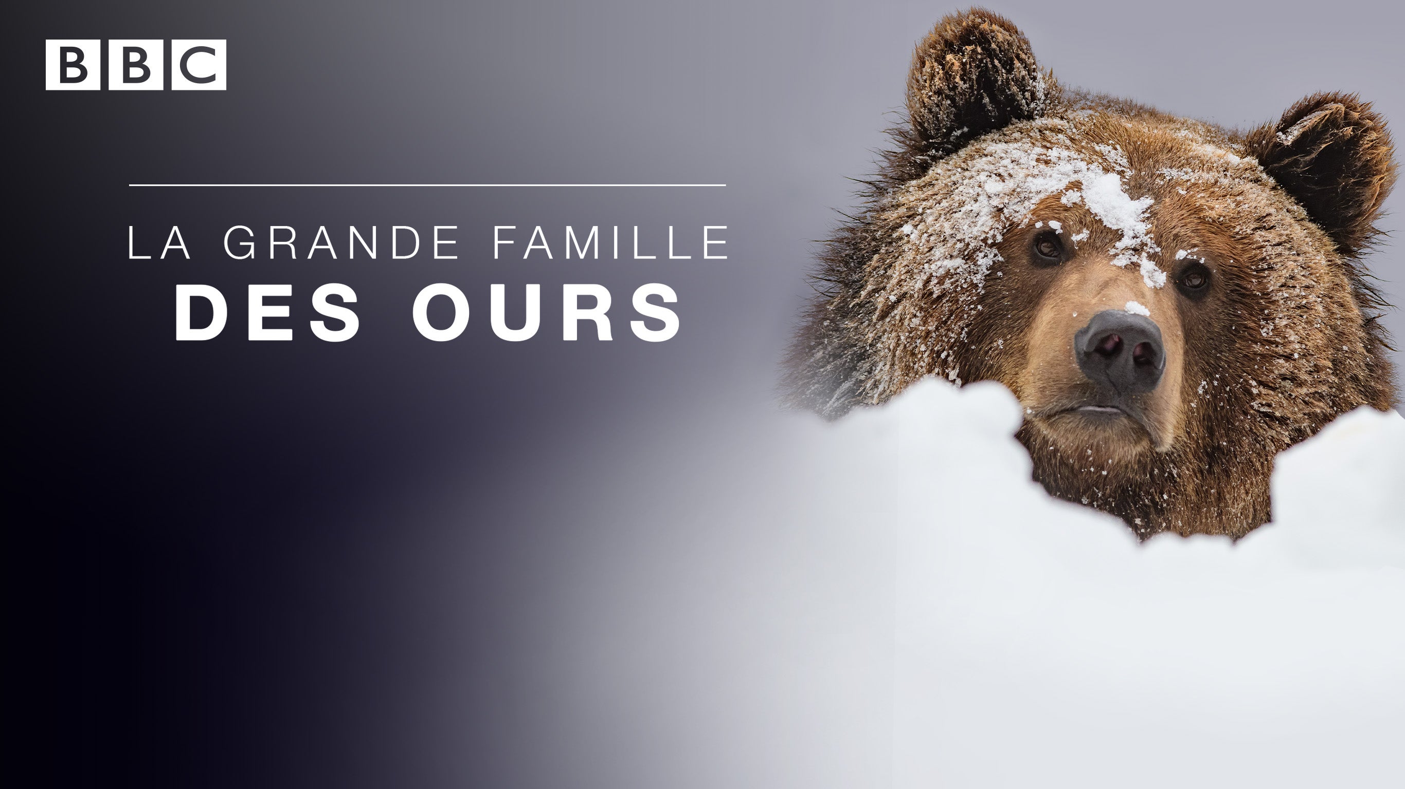 La grande famille des ours sur M6+ : voir les épisodes en streaming
