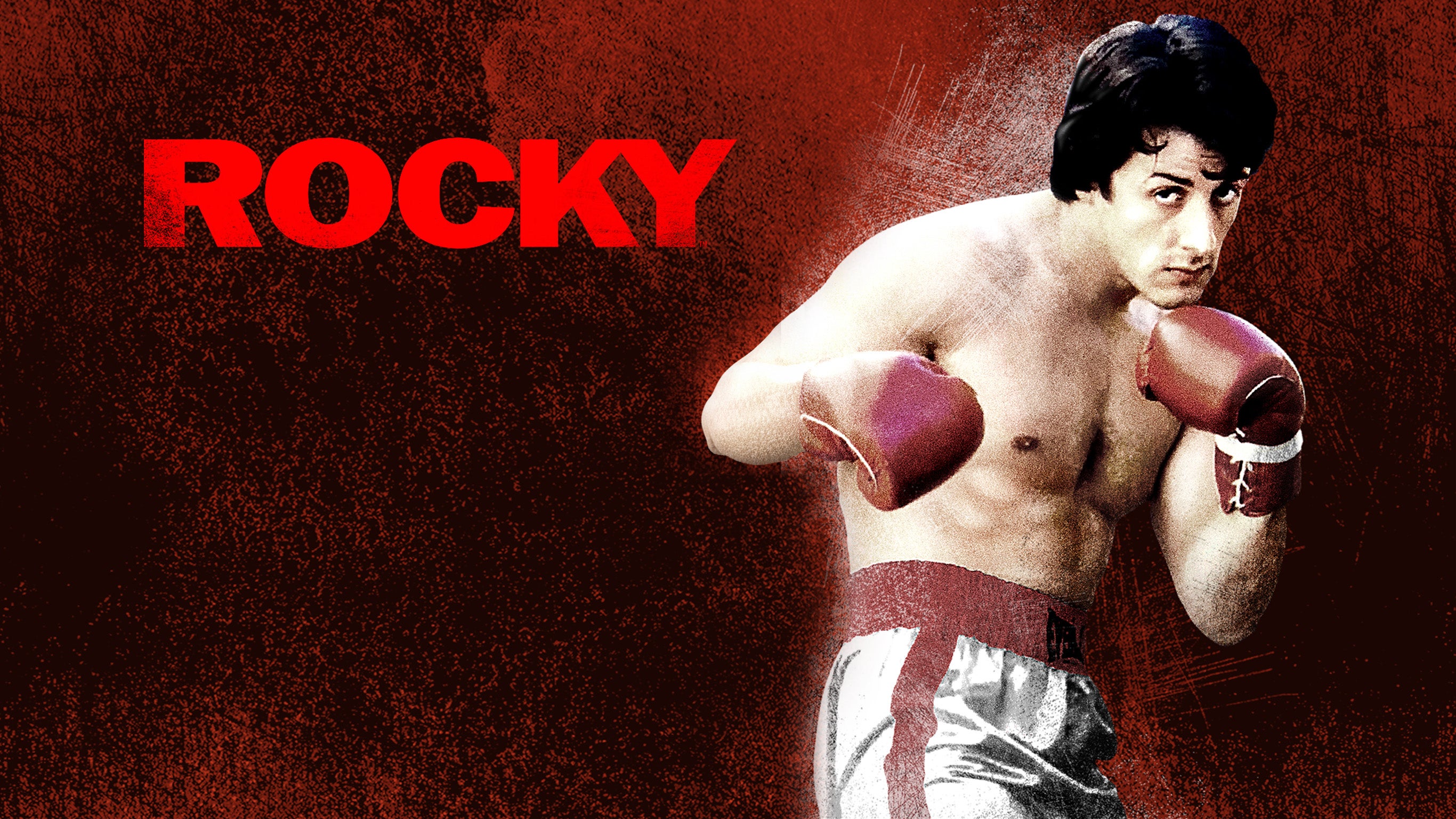 Rocky sur M6+ : voir les épisodes en streaming
