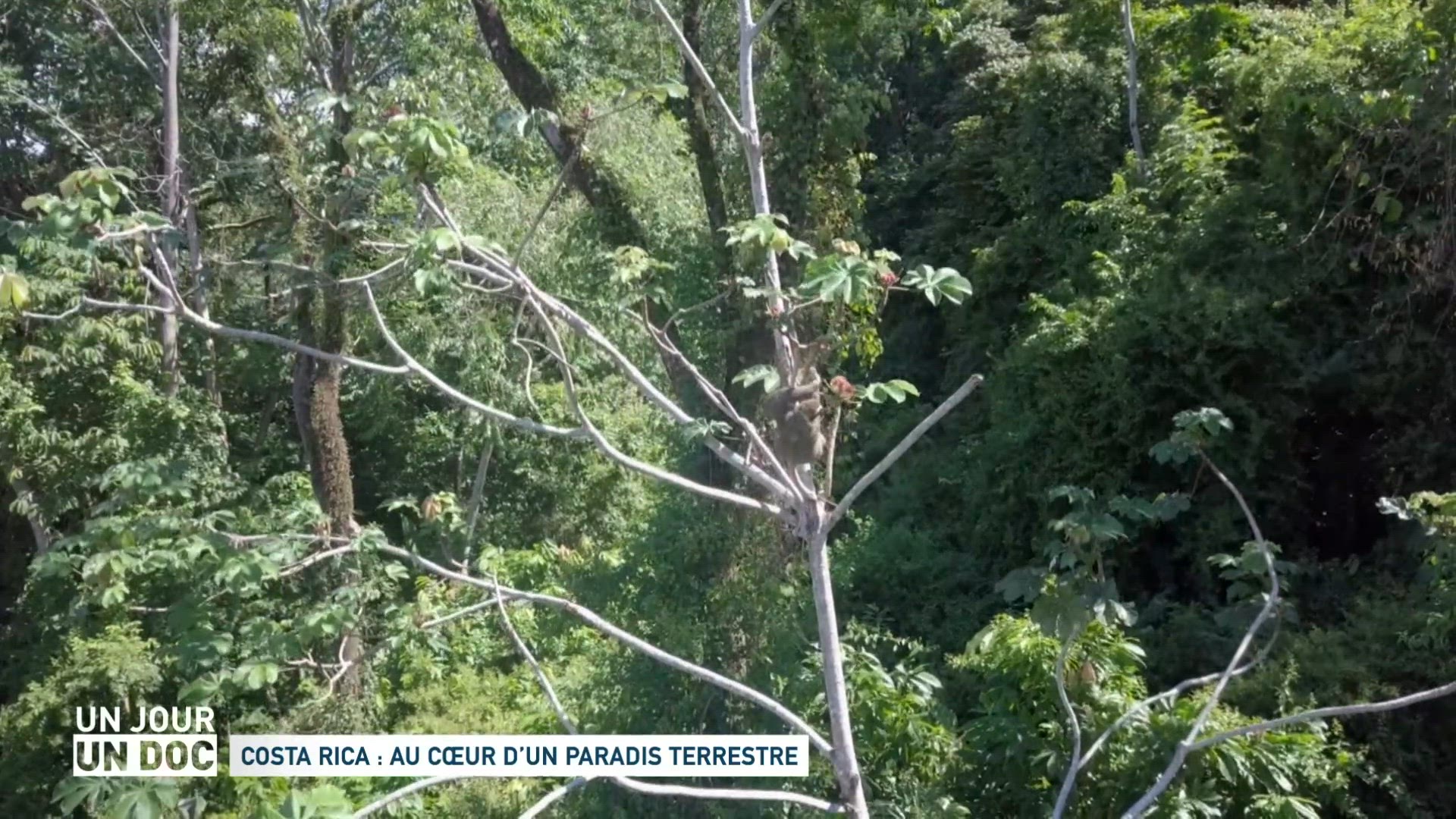 Un jour, un doc : Costa Rica : au cœur d’un paradis terrestre 11-07 ...