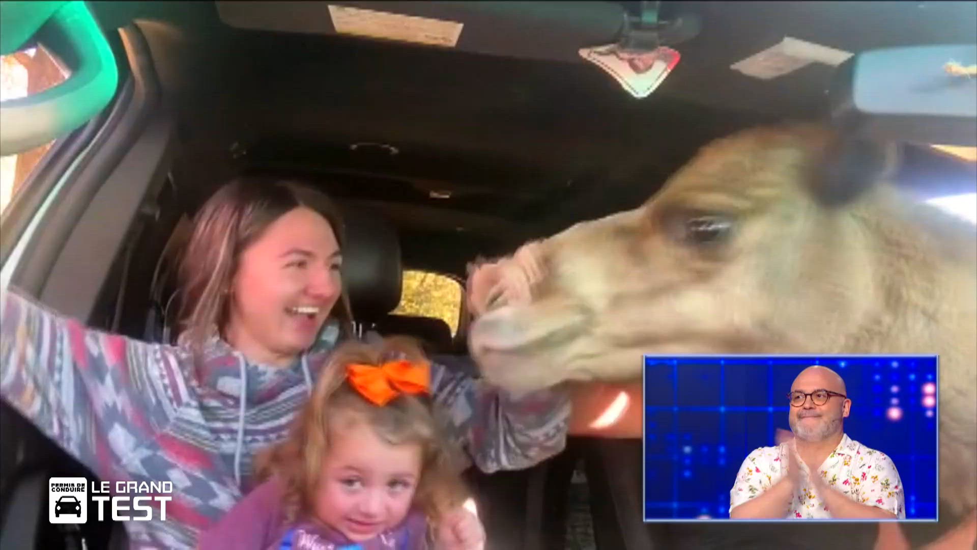 Le grand test sur M6+ : voir les épisodes en streaming