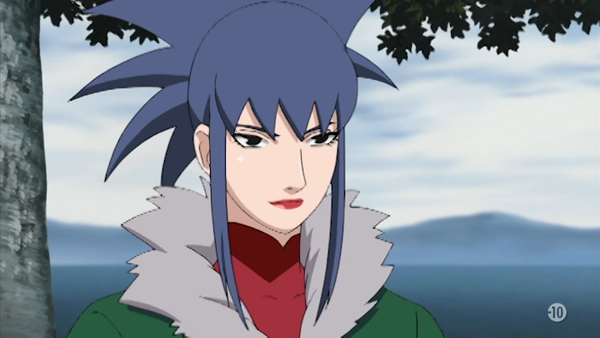 Naruto Shippuden : S5 E3 - Bataille aux frontières 26-11-2025- M6+