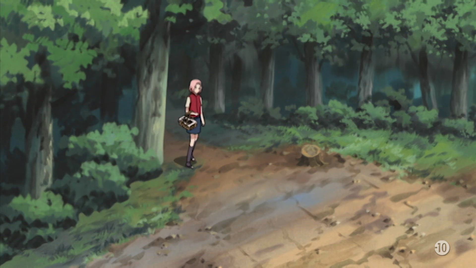 Naruto Shippuden : S3 E21 - Sous le ciel étoilé 26-11-2025- M6+